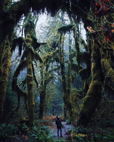 12 Haunted Trails In The Pacific Northwest Where Horror Lurks Artofit