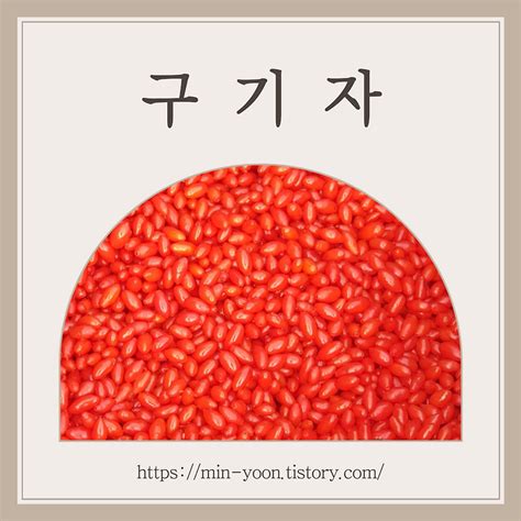 구기자 효능 8가지와 부작용 하루 섭취량 활용법 보관법 칼로리 먹는법