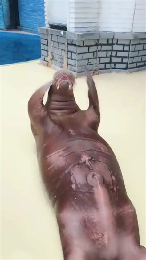 Mock Pt Test Today Pretty Much Sums It Up R Airforce