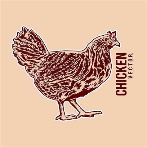 Premium Vector Chicken Vector Illustration
