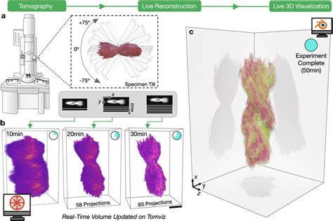 Real Time Electron Tomography Workflow Of A Helical Nanoparticle