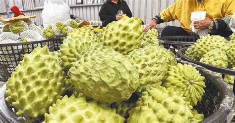 台灣農漁產品再解禁？ 國台辦釋善意 國際 Ctwant