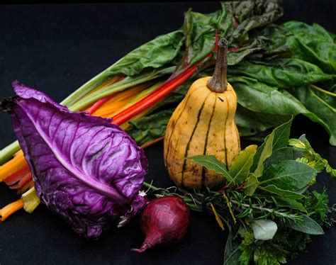 Joyce Boyle Clonakilty Camera Club