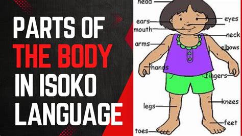 Parts Of The Body In Isoko Language Youtube