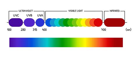 Visible Spectrum Vector Art Icons And Graphics For Free Download