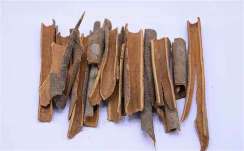 Dal Chini At ₹ 100kilogram Pauri Id 2854196358062