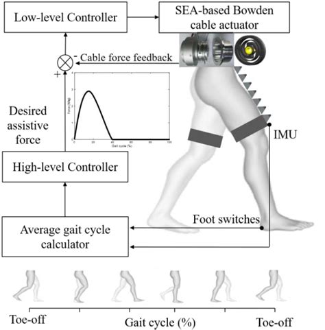 Figure 1 From Design And Validation Of A Lightweight Soft Hip Exosuit