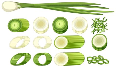 대파 일러스트 이미지 Freepik에서 무료 다운로드