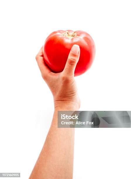 흰색 배경에 고립 된 하나의 큰 빨간 토마토를 들고 있는 여성의 손 건강한 생활방식에 대한 스톡 사진 및 기타 이미지 건강한 생활방식 건강한 식생활 다이어트 Istock