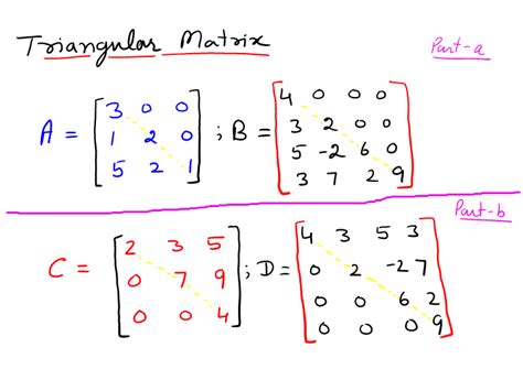 Types Of Matrices Examples Of Matrices Types For The Beginner