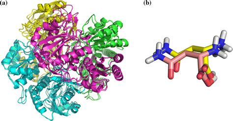 Superimposition Of A The Obtained Structures Of Wild Type And Mutant