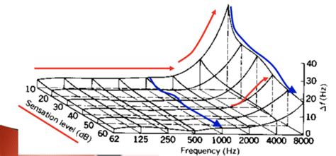 Frequency Discrimination Flashcards Quizlet