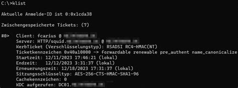 squid proxy auf wsl mit kerberos