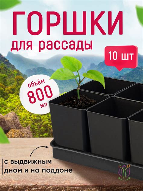 Горшки для рассады с поддоном пластиковые квадратные купить по низкой ...