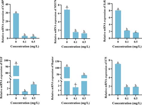 Effects Of Different Concentrations Of Tio2 Ac Nanoparticle On The
