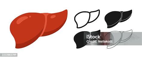인간의 간 기호 세트 간 해독 신체 장기 아이콘 기호 디자인 벡터 일러스트 레이 션 간 내부 기관에 대한 스톡 벡터 아트 및 기타 이미지 간 내부 기관 건강 검진