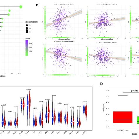 The Tmb Mutation Profile And Msi In High Risk And Low Risk Groups Download Scientific