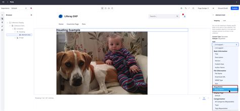 Collections With Search Blueprints Liferay Official Documentation