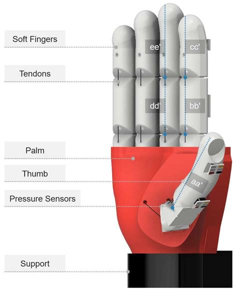 Aces V2 Soft Robotic Prosthetic Hand Computer Aided Design Cad Model