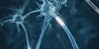 【深度学习 功法篇】chap 1 从感知机到人工神经网络（ann） 单层感知机和ann Csdn博客