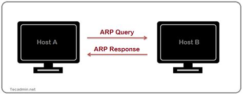 What Is Address Resolution Protocol Arp Tecadmin