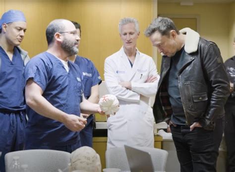 Implante Cerebral Da Neuralink Apresenta Desconexões Em Primeiro Paciente Maringá Post