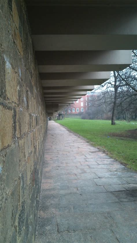 Particulations St Georges Field Traversing Transversality