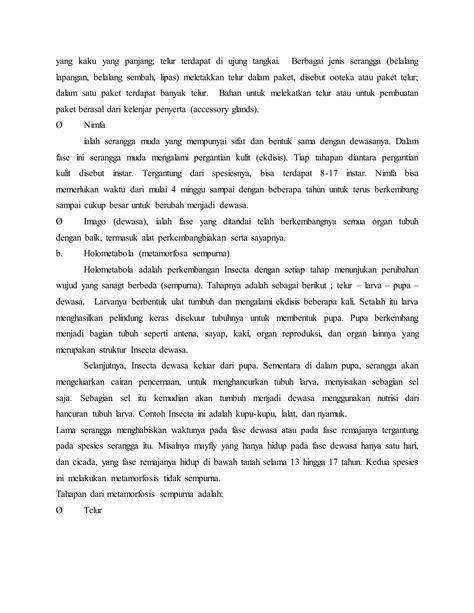 Pengertian Metamorphosis Docx