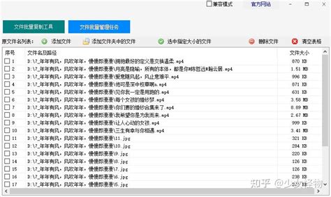 文件管理工具，文件太多，教你按类型批量归类到目标文件夹中保存 知乎