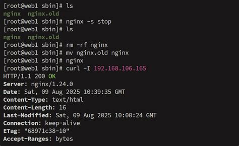 高性能web服务器 Nginx Csdn博客