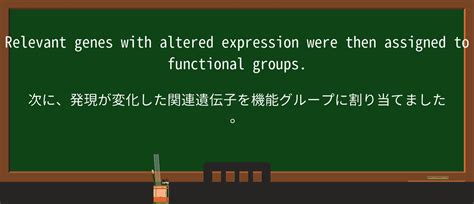 【英単語】functionalを徹底解説！意味、使い方、例文、読み方 おもしろい英文法