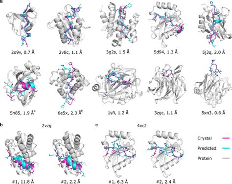 Superposition Of The Crystal And Predicted Structures Of The 12 Download Scientific Diagram