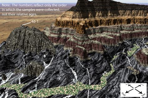 Solved Module 8 Reconstructing Geologic History Worksheet