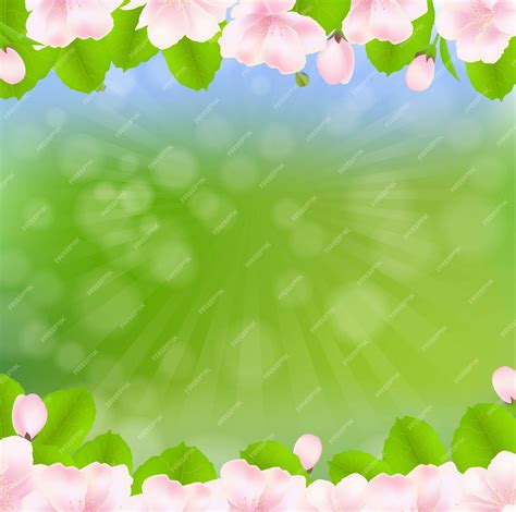 Premium Vector Hello Spring Text Isolated White Background Premium Vector Hello Spring Text Isolated White Background