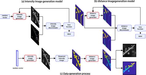 Model Framework And Data Generation Process Download Scientific Diagram