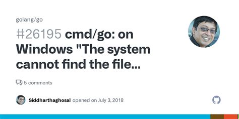 Cmdgo On Windows The System Cannot Find The File Specified · Issue