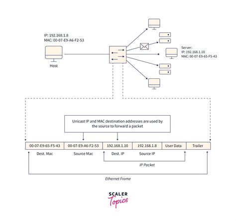 What Is MAC Address Scaler Blog