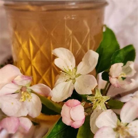 Apple Blossom Jelly A Fun Flower Jelly Hawk Point HomeStead