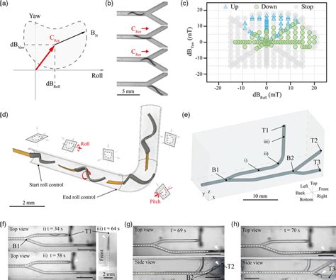 Open‐loop Control Of Automated 3d Navigation A An Offset In C Rot Is