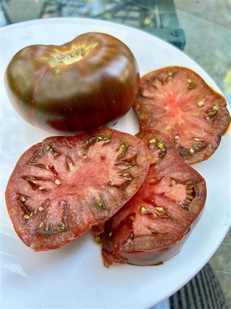 Paul Robeson Tomato Rare Heirloom — Elevated Gardening
