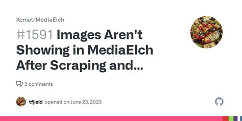 Images Arent Showing In Mediaelch After Scraping And Saving A Group Of Movies But Are Saved To