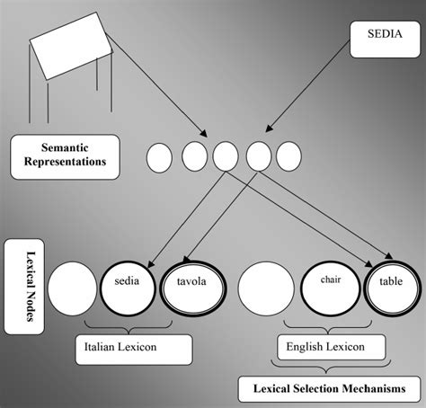 Illustration Of The Semantic Interference Effect Observed Across