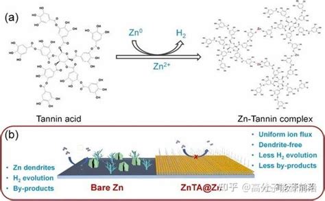 Nano Energy单宁酸诱导的稳定锌离子电池防腐膜 知乎