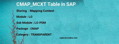 Cmapmcxt Sap Table For Mapping Context