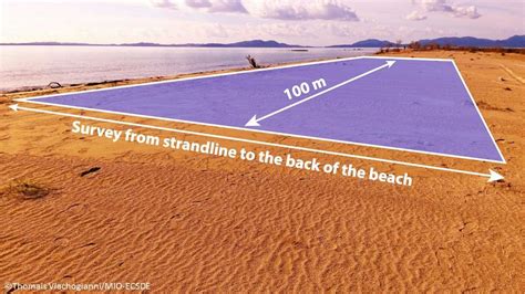 1 The Sampling Unit Download Scientific Diagram