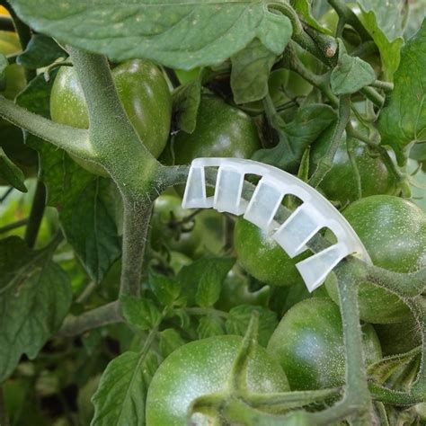 Flexible Arch Cluster Support 30000box Groupe Horticole Ledoux Inc