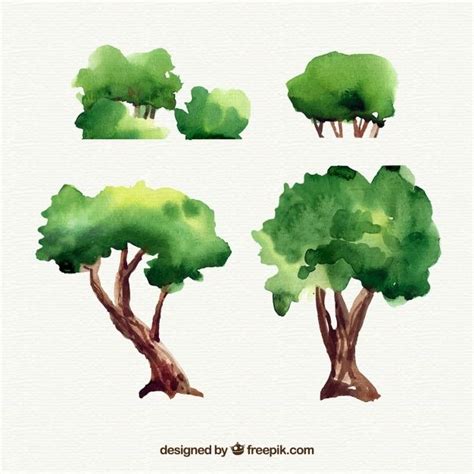 Free Vector Watercolor Tree Collection Watercolor Tree Vector