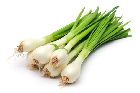 Premium Ai Image Scallion Isolated On White Backgroundgenerative Ai