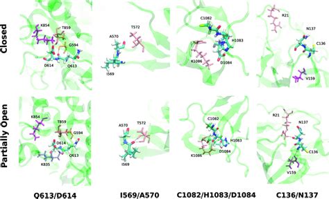 Representative Snapshots Of The Hydrogen Bonding Pattern Of Some Of The Download Scientific
